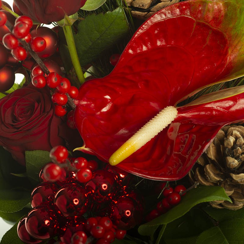 Bouquet de fleurs rouges Noël
