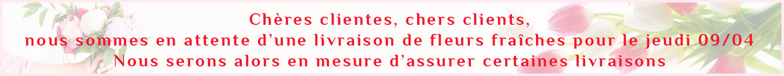 Étamine Artisan Fleuriste à Strasbourg - Achats en ligne et livraisons ...