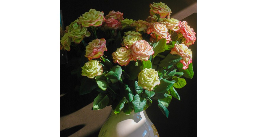 Étamine Artisan Fleuriste à Strasbourg - Achats en ligne et livraisons ...