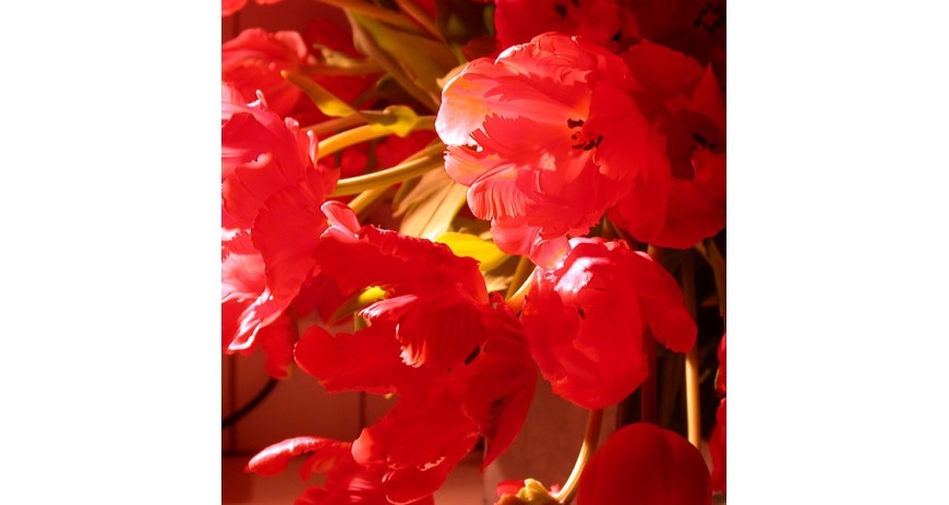 Étamine Artisan Fleuriste à Strasbourg - Achats en ligne et livraisons ...